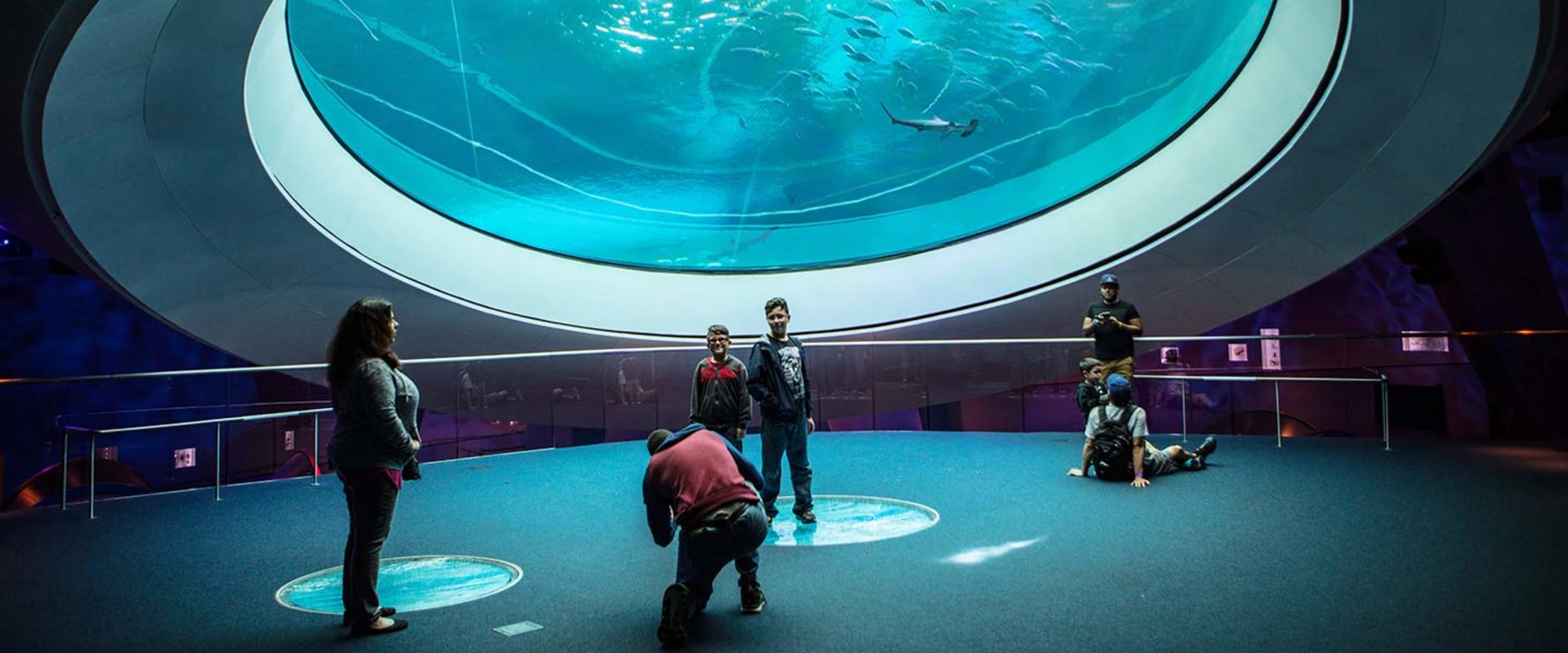 Exploring the Wonders of Science Museums